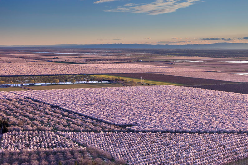 Butte Regional Transit Operations Center - TLCD Architecture